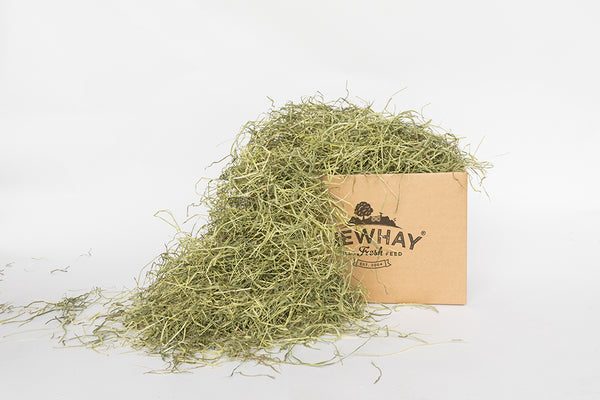 Timothy Hay UK - 4kg Box for Rabbits & Guinea Pigs – Newhay